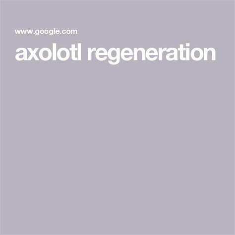 Axolotl Regeneration Axolotl Regeneration
