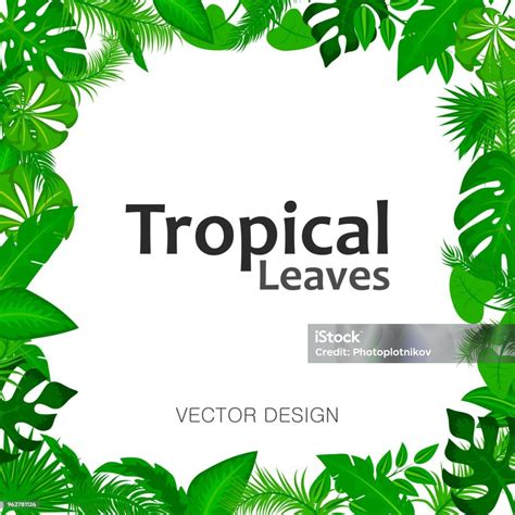 녹색 여름 배경 열 대 식물의 잎 정글 프레임 텍스트 위한 공간입니다 초대장 인사말 카드와 벽지의 디자인에 대 한 개념 벡터 일러스트 레이 션 공란에 대한 스톡 벡터 아트
