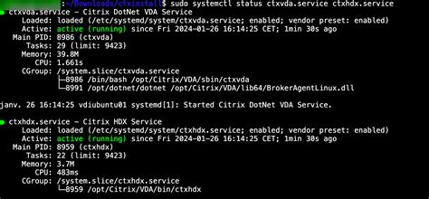 Ubuntu Citrix Vda Installation With Fas Enable