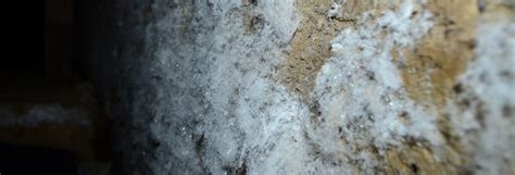 White Chalky Substance On Basement Walls What Is It New Haven CT Budget Dry Waterproofing