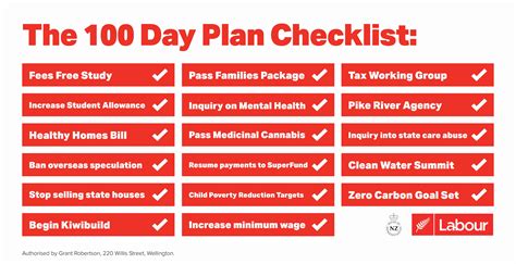 100 Day Plan Template