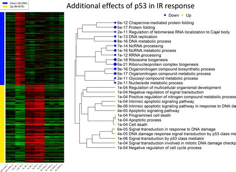 Figure 17 From Gaining Insights From Rna Seq Data Using Idep 1 Semantic Scholar
