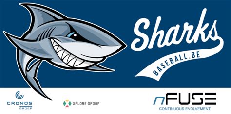 Nfuse And Baseball Nfuse Continuous Evolvement