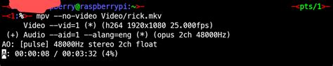 my friend trust me to remotely access his rpi so when i saw his status