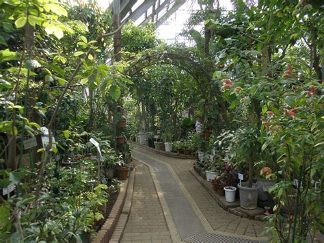 ぶらり散歩 小平市といっても東大和市駅そばの東京都薬用植物園 わたしのギャラリー