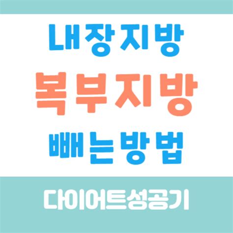 복부지방 빼는법 내장지방 빼는법