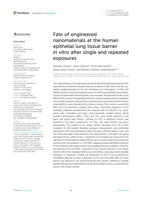 Pdf Fate Of Engineered Nanomaterials At The Human Epithelial Lung