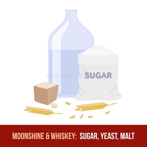 Yeast Fermentation Process Principle For Drinks And Food Outline