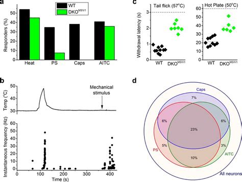 Heat Sensitivity Is Preserved In Trpm3−−trpv1−− Double Knockout