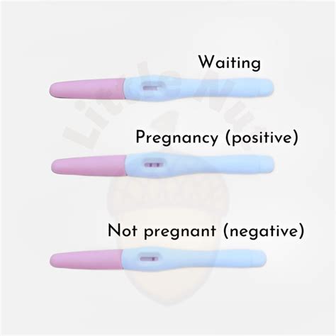 Little Nut Pregnancy Test Pen Uji Hamil Hcg Rapid Screen One Step Test