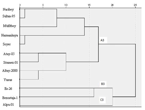 Upgma Clustering For 12 Wheat Genotypes Based On Rapd And Issr Markers