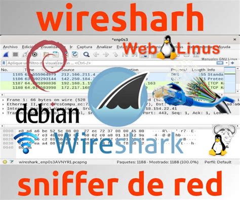 Instalar Python 3111 En Debian 11 Y Derivados Weblinus