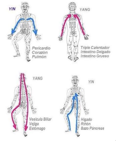 Acupuncture Benefits Acupuncture Points Tcm Traditional Chinese