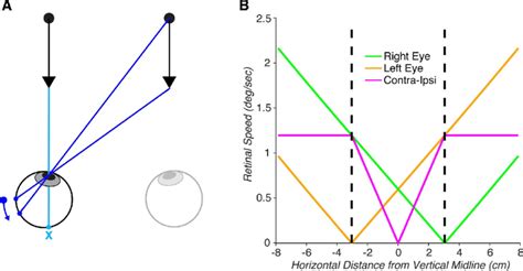 Motion In Depth Stimuli Produce Different Retinal Motion Signals In The Download Scientific
