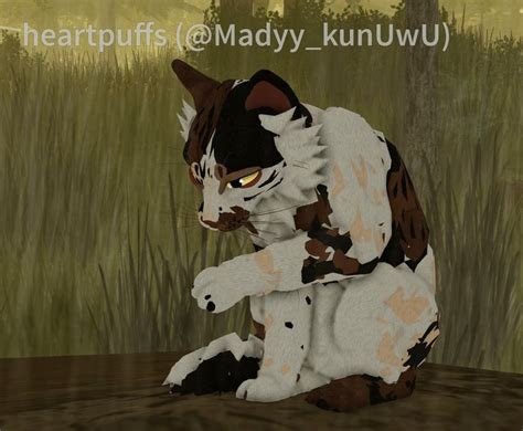 Brown And Black Wcue Tortie En 2024