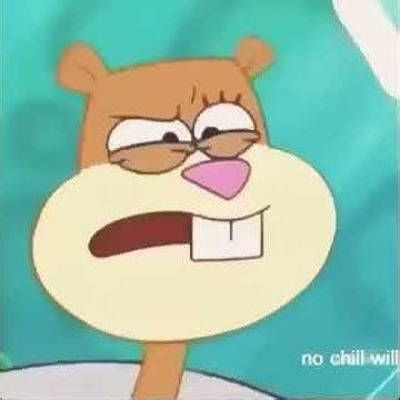 Spongebob What Are Those Vine Youtube