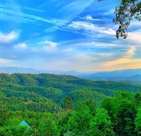 Dolly Cam Red Door Getaways