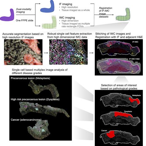 Dual Modality Imaging Of Immunofluorescence And Imaging Mass Cytometry For Whole Slide Imaging