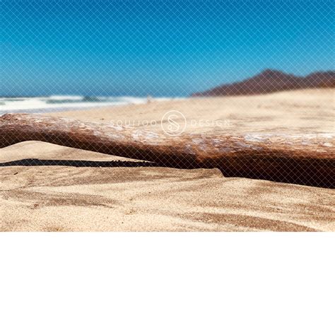 Pacific Beach Digital Backdrop Log Bay