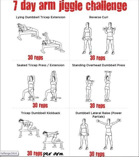 Fitness Body Exercise Arm Workout