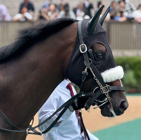 シックスペンス毎日王冠優勝 更新したりサボッたり日記 By Kami