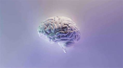 Sleep Triggers Built In Garbage Disposal System In Our Brains