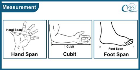 Class 6 Measurements Key Concepts Explained