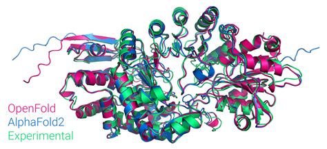 Openfold Retraining Alphafold2 Yields New Insights Into Its Learning