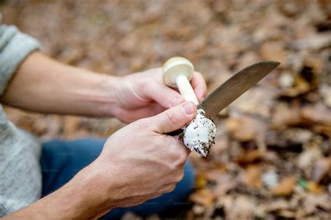 가을 숲에서 알아볼 수 없는 남자가 손에 Mushoom을 들고 칼로 청소합니다 사진 Unsplash의 버섯 사냥 이미지