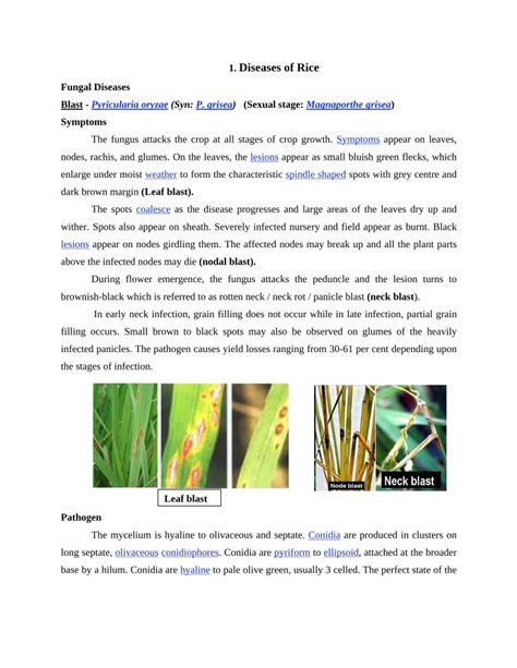 Pdf Lecture 1 Diseases Of Rice · 1 Diseases Of Rice