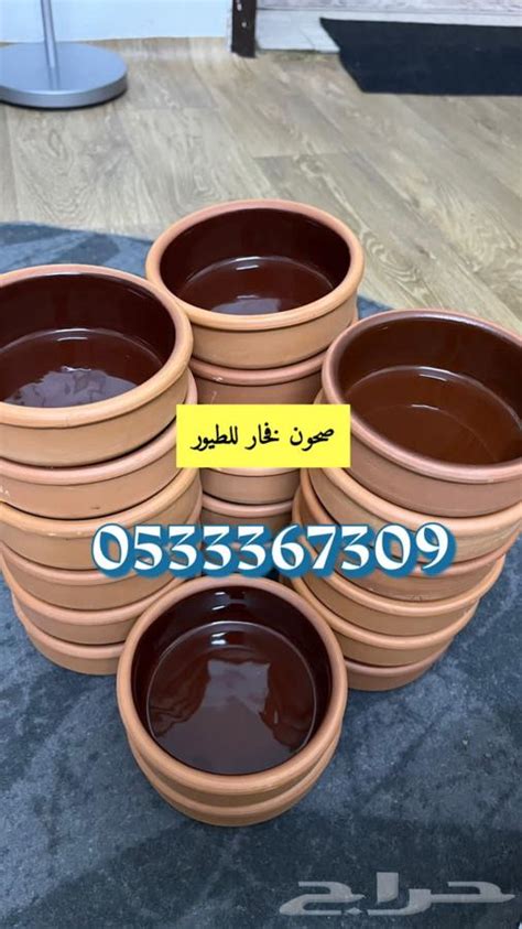حب شمسي للطيور موقع حراج