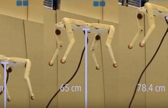 Rifle Detecting Robots Coming To Schools Robotic Gizmos