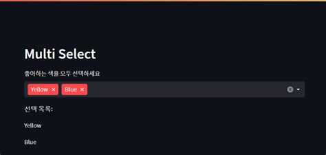 스트림릿 2 기본 문법 Input Widget