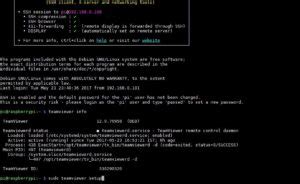 How To Install TeamViewer On Raspberry Pi