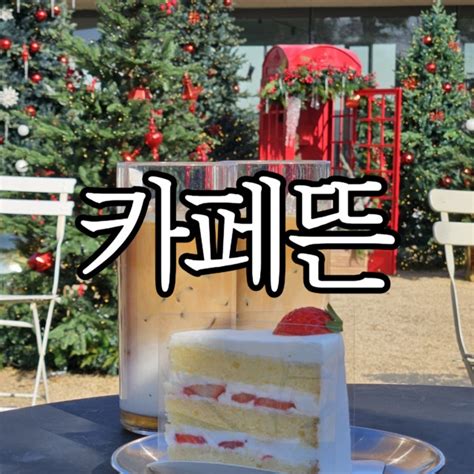 함안카페 창원 인근 크리스마스트리가 예쁜 카페 뜬 네이버 블로그