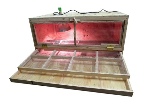 Chicken Brooder
