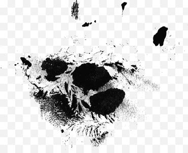 Mancha para mi tuto ilustración mancha negra png Klipartz