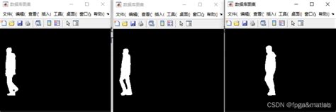 基于casia Gaitdatasetb步态图像轮廓数据库的步态周期检测与步态角度特征matlab源码fpga和matlab的技术博客