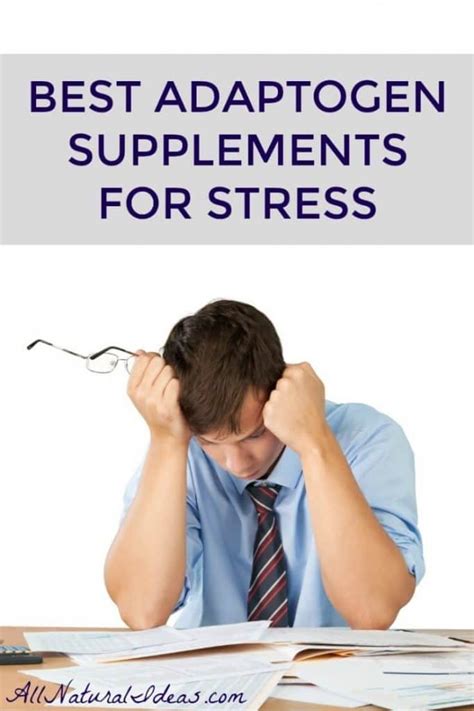 Best Adaptogen Supplements For Stress All Natural Ideas