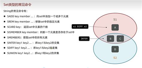 redis基本数据类型 set类型 高佳丰 博客园