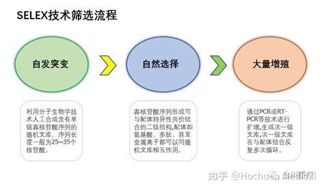 关于核酸适配体（aptamer） 知乎