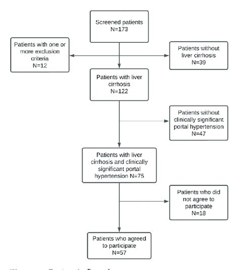 Patients Flowchart Download Scientific Diagram