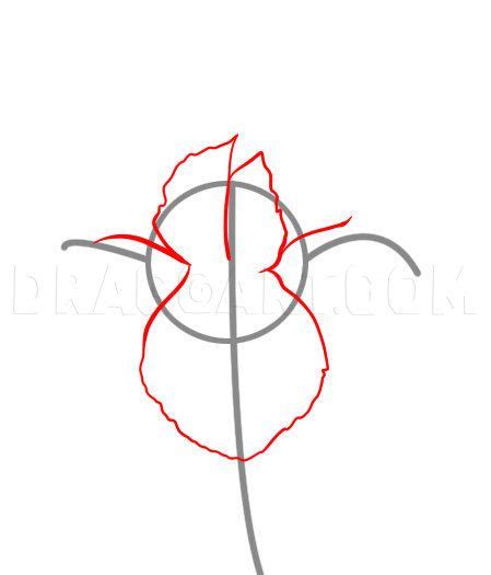 How To Draw An Iris Step By Step Drawing Guide By Dawn Dragoart Com Iris Drawing Flower