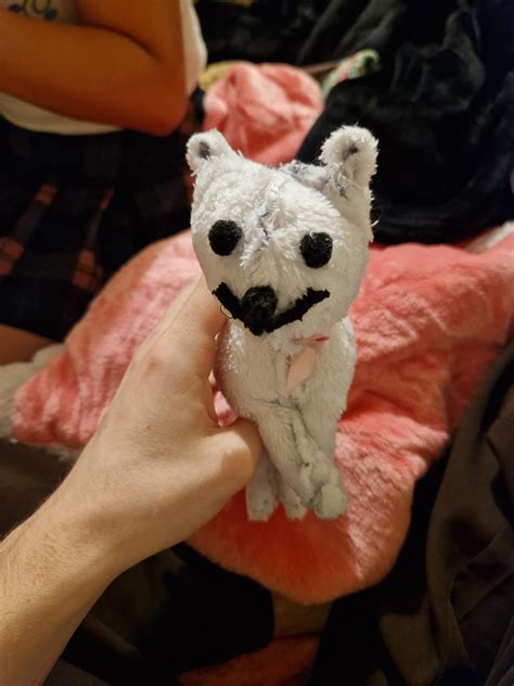 My Gf Made Me Pp Cat For Christmas Rosugame