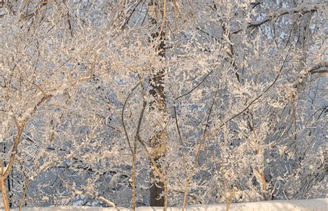 눈 덮인 경사면을 따라 스노우 보드를 타는 남자 사진 Unsplash의 무료 시베리아 이미지