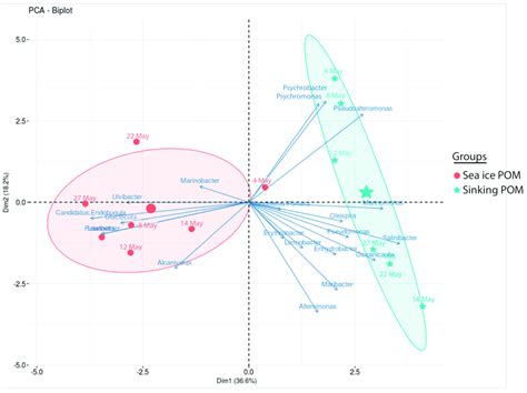 28 Principal Component Analysis Pca Correlation Biplot Showing 13