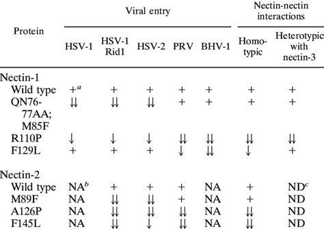Summary Of Effects Of Nectin 1 And Nectin 2 Mutations Download Table