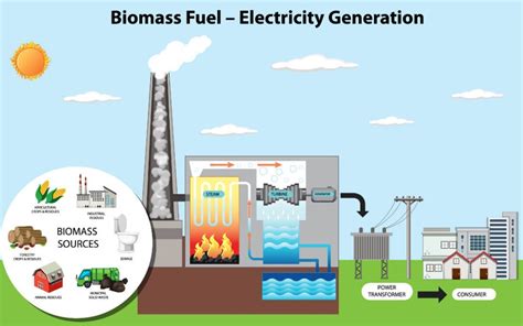 How Biomass Energy Works
