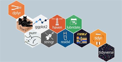 Introduction To Tidyverse A Collection Of R Packages For Data Science