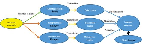 Artificial Immune Response Model Download Scientific Diagram